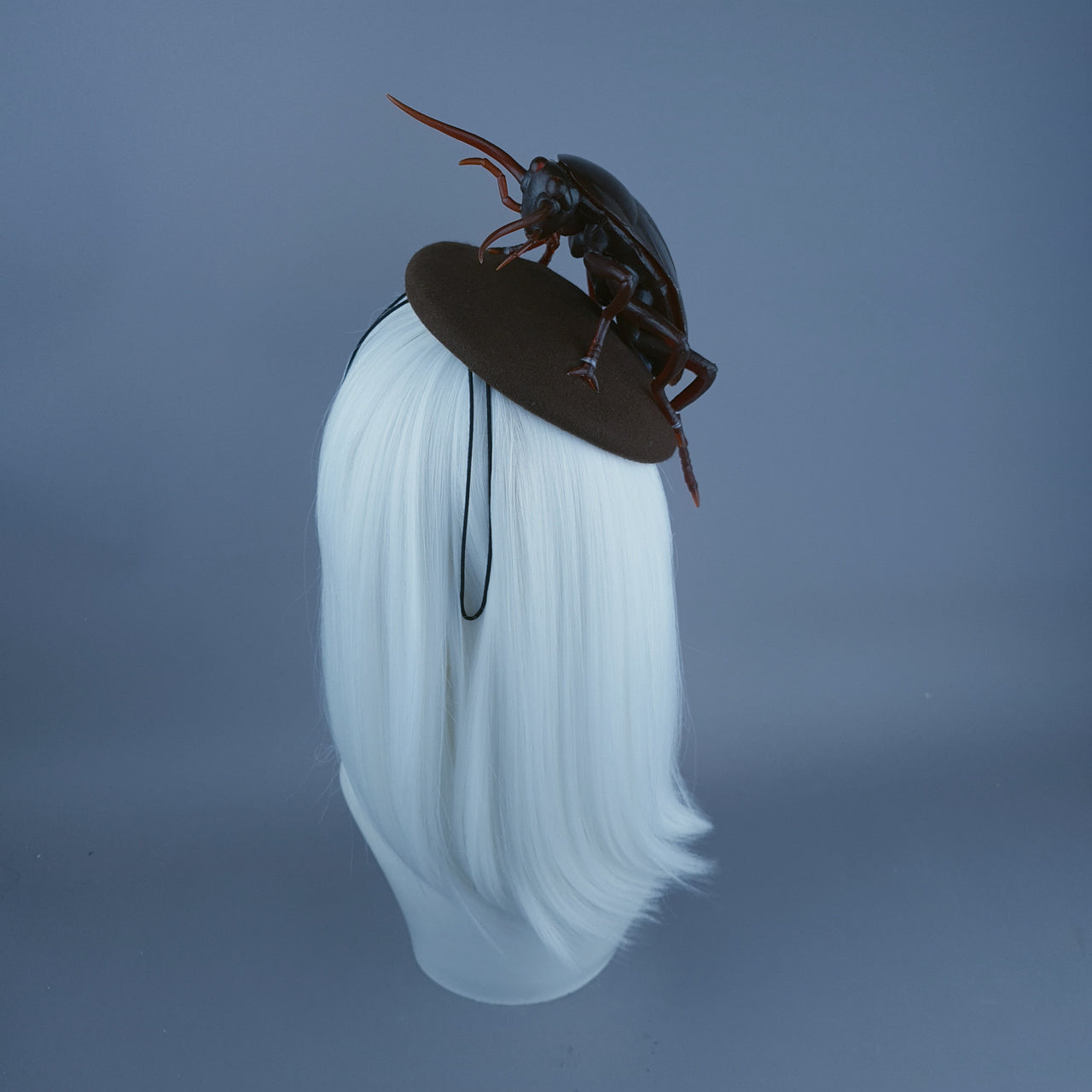 "Cucaracha" Brown Giant Cockroach Insect Bug Fascinator Hat – Pearls ...
